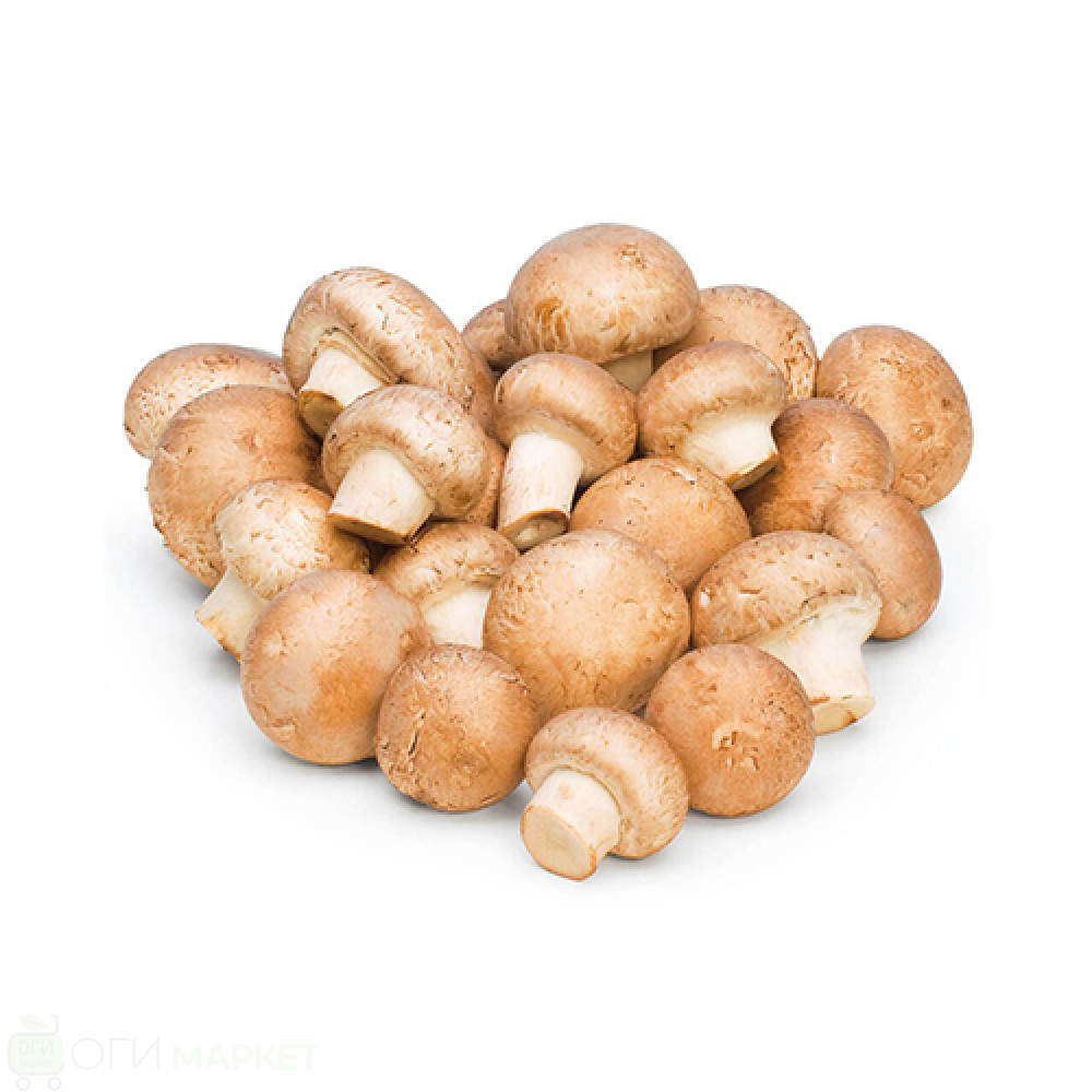 Гъби - Кралска печурка - тарелка - бр.